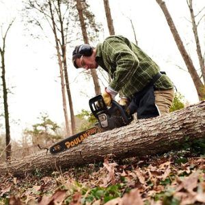 5 Best 16-inch Chainsaws For Sale To Buy In 2022 Reviews