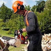 2 Best 4-Stroke/Cycle Chainsaws For Sale In 2022 Reviews